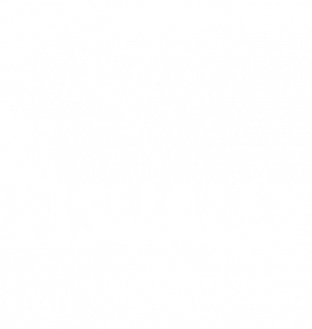 The Peter Principle Explained - Visually Simplified